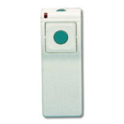 Linear 2-Button, 1-Channel Handheld Transmitter DXT-21 | AAARemotes